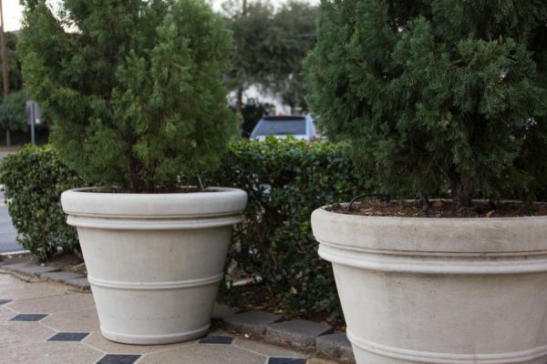 Jackson Pottery | TRADITIONAL